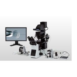 Olympus Microscope IX73 with Narishige ON4 Micromanipulator